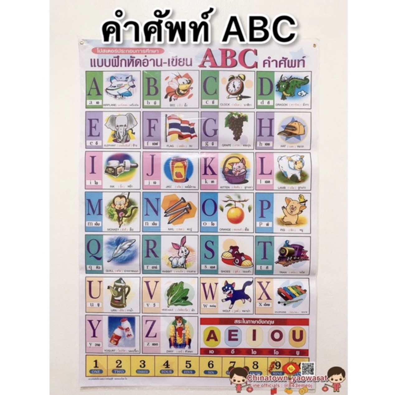 Thai Alphabet Poster