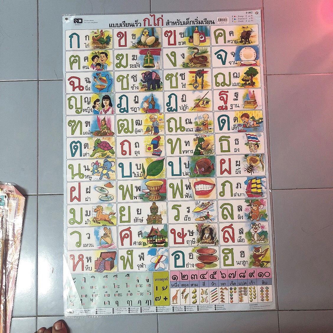 22-inch, height 32-inch, height 22-inch, Early Learning, chicken ...