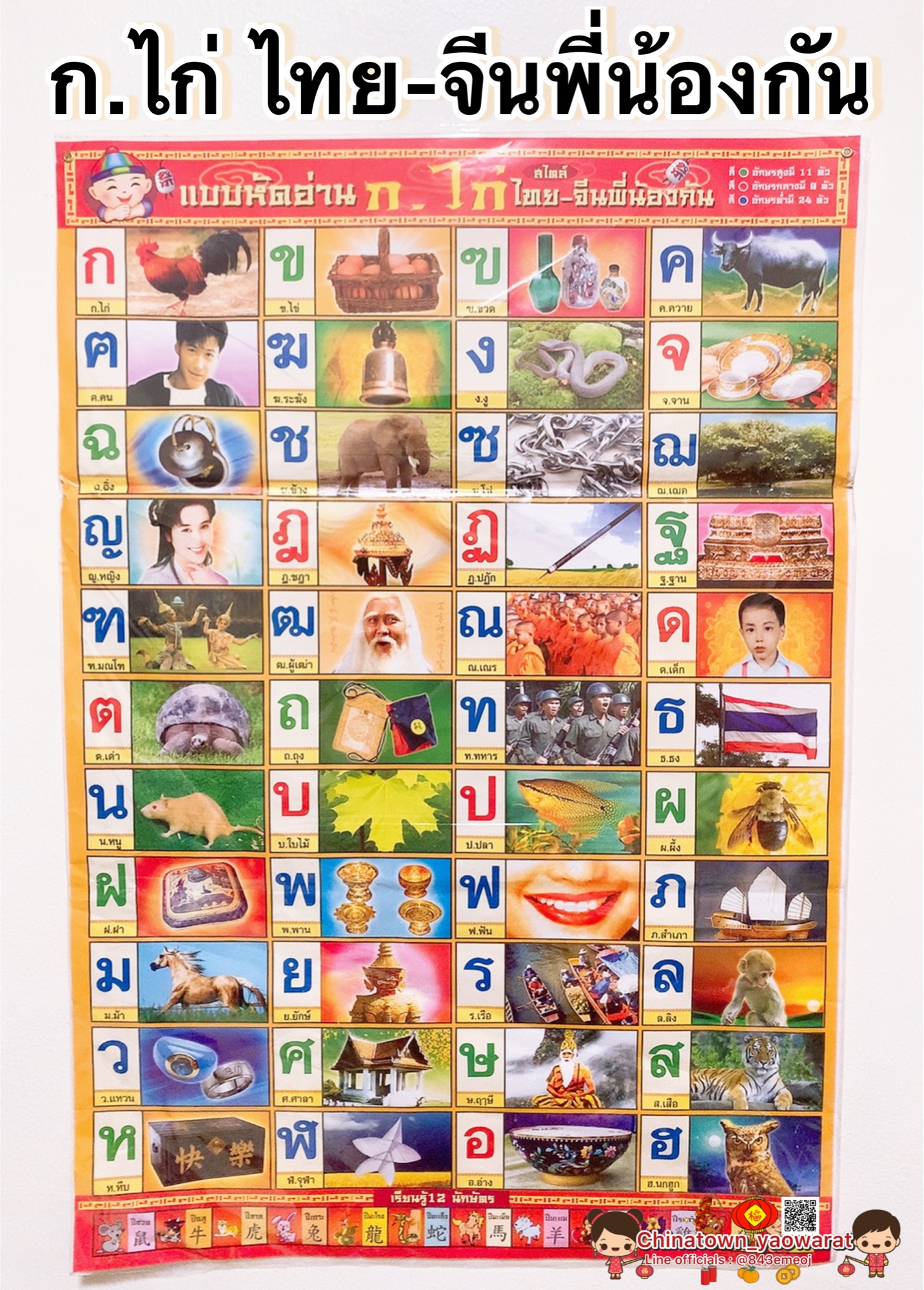Thai Alphabet Poster